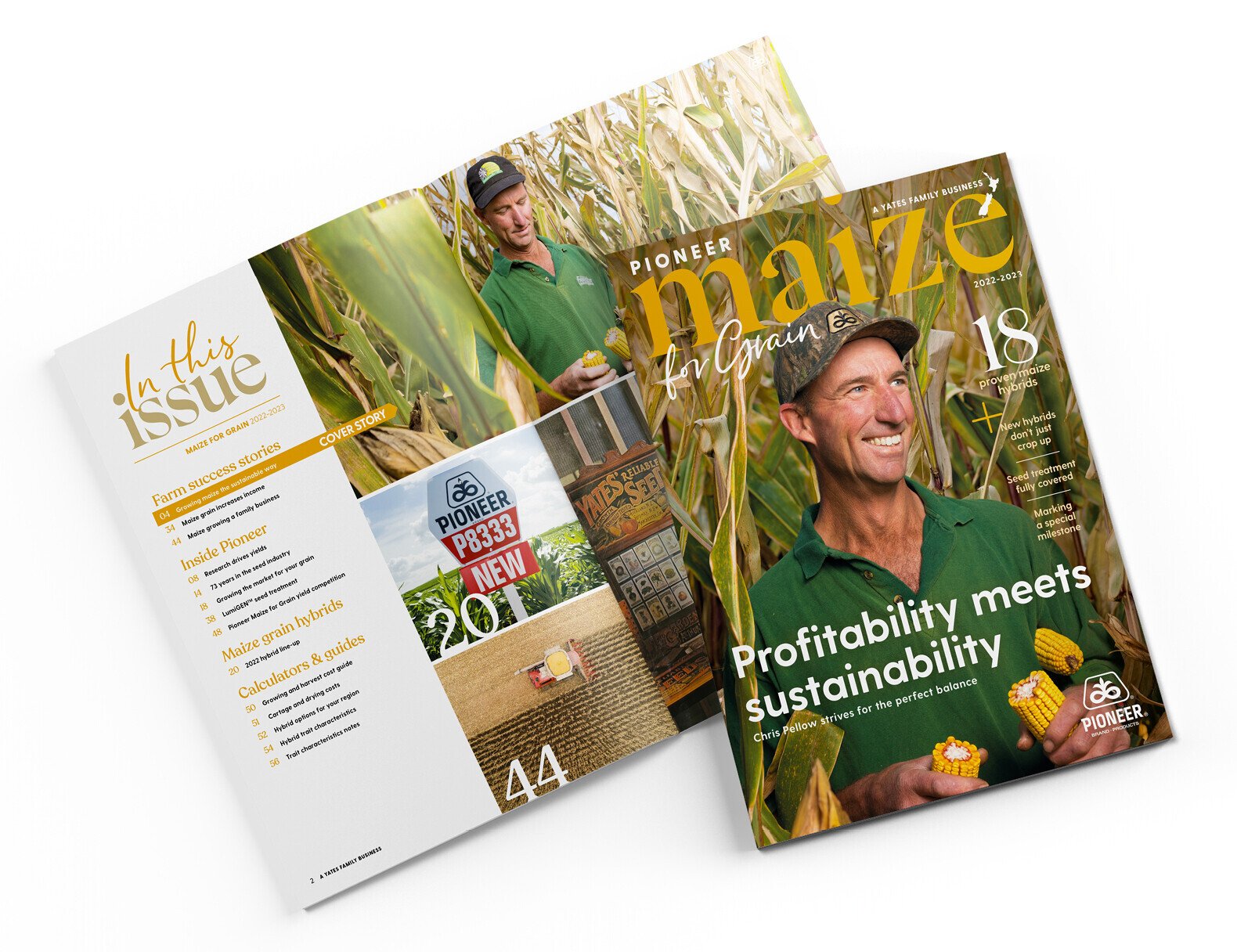 Maize For Grain Pioneer maize-for-grain-pioneer