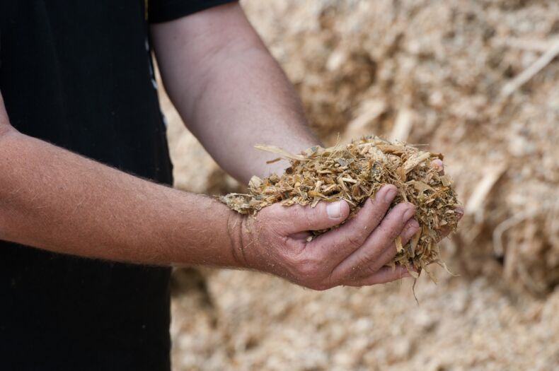 Why maize silage? - Pioneer Why maize silage? - Pioneer