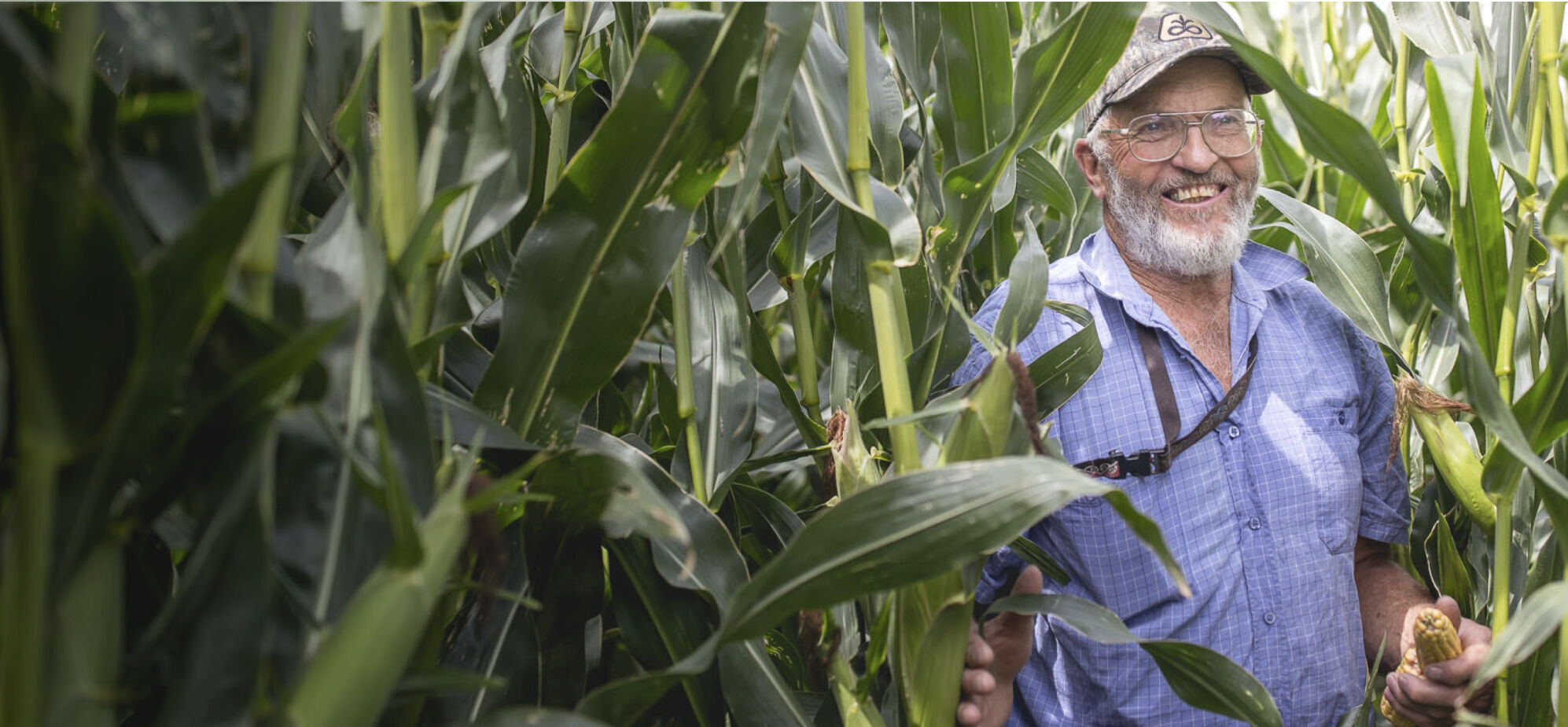 Pioneer Brand Hybrid Seeds & Agricultural Products - Pioneer